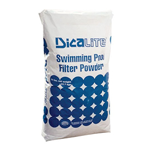DE Pool Filter Maintenance