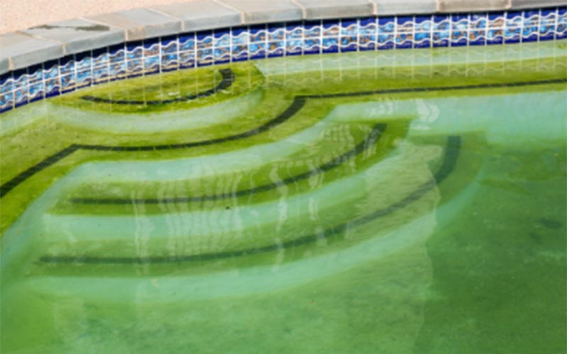 Pool Algae Treatment and Prevention
